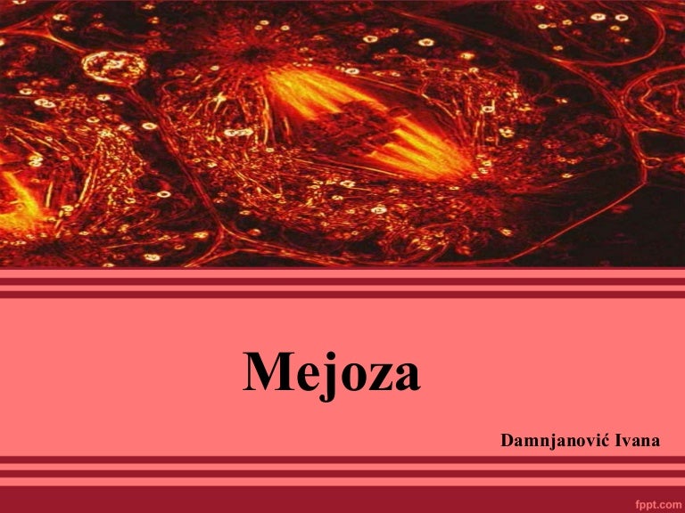 Mejoza