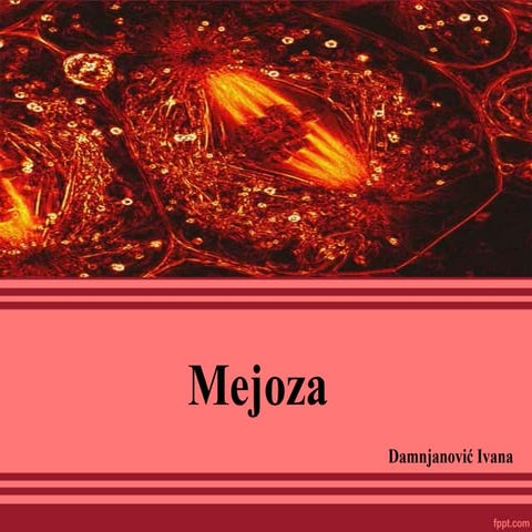 Mejoza | PPT