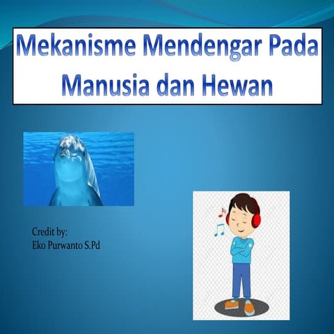 Mekanisme Mendengar Pada Manusia dan Hewan.pptx