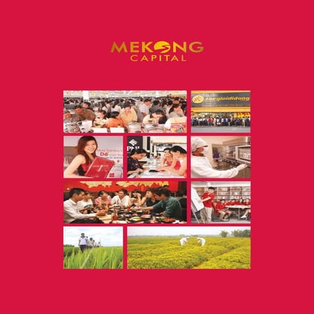 Mekong Capital Corporate Brochure | PDF