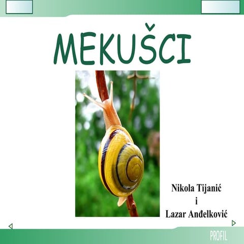 Mekušci | PPT