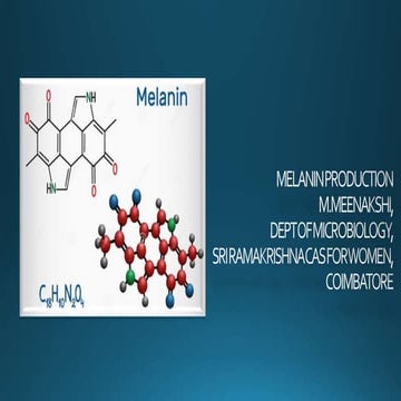 Melanin | PPTX