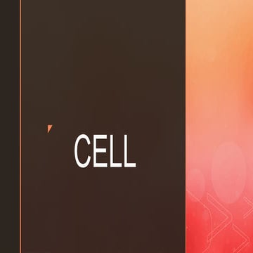 Organelles in an Animal Cell | PPT