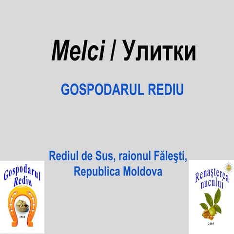Melci | PPT