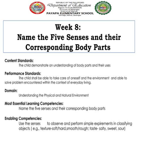 MELC WEEK 8B-USE THE SENSES TO OBSERVE AND PERFORM SIMPLE EXPERIMENTS.pptx
