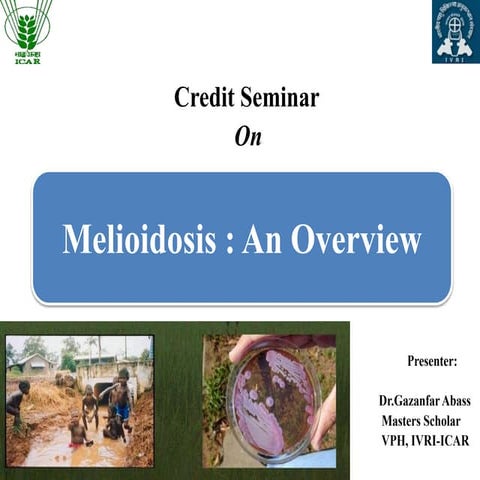 Melioidosis an overview | PPTX