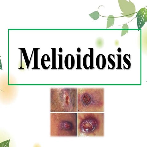 Melioidosis infection diseases | PPTX