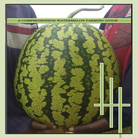 Melon guide | PDF