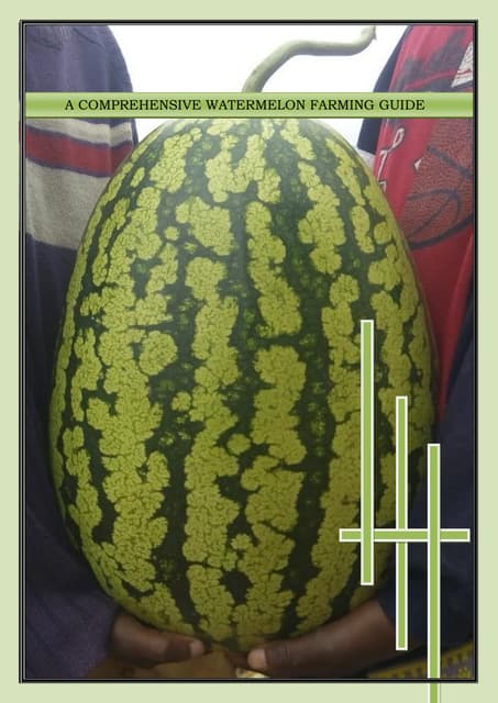 Watermelon Production Guide.pdf bwhahahahaaia | PPT