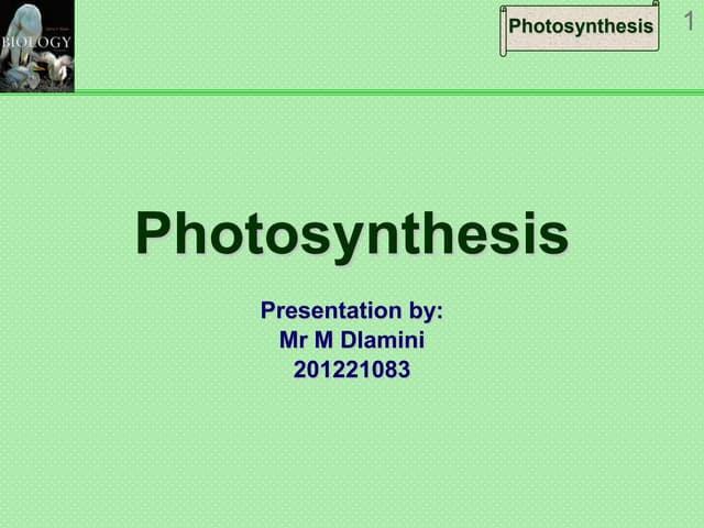 Photosynthesis | PPTX