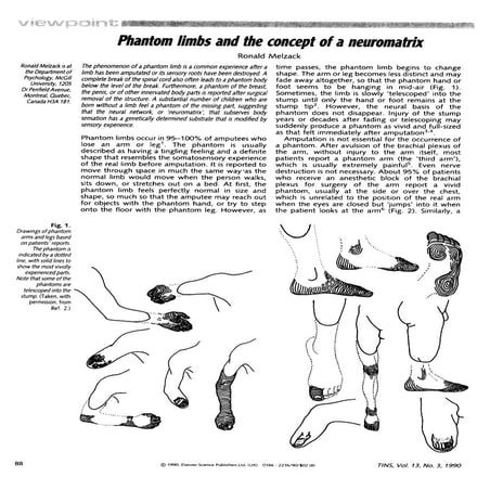 Melzack_1990 - Phantom limbs and the concept of a neuromatrix.pdf