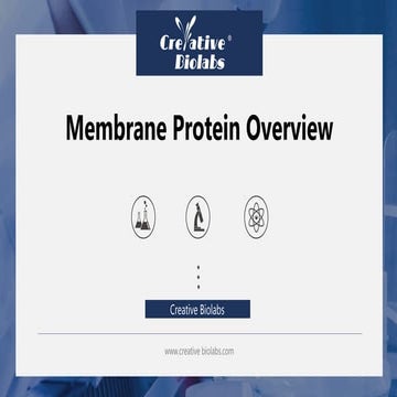 Membane Protein Overview | PPT | Chemistry | Science