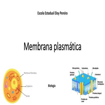 Membrana plasmática e seus tipos de transporte | PDF