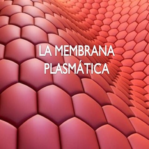 Membrana plasmática | PPT