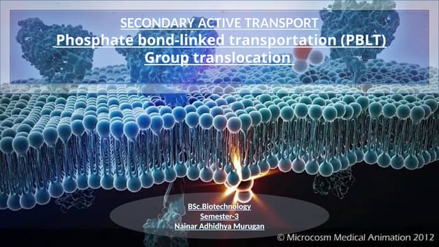 A Brief Note On Cellular Membrane And Membrane Transport Pptx