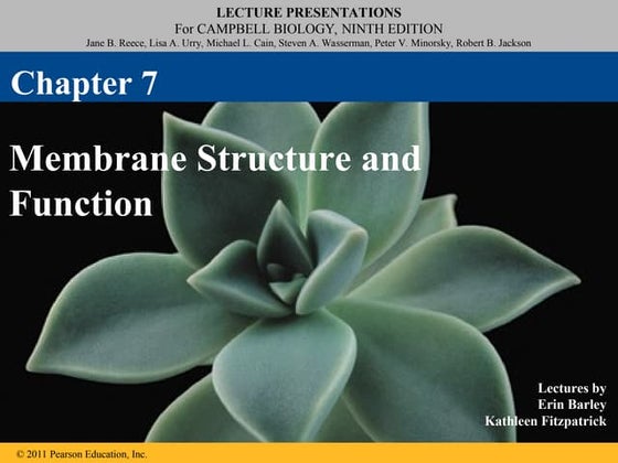 Membrane Structure Ppt