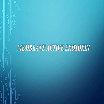 Membrane active exotoxin.pptx