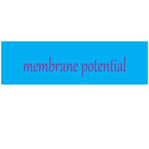 Membrane and Resting Membrane potential .ppt