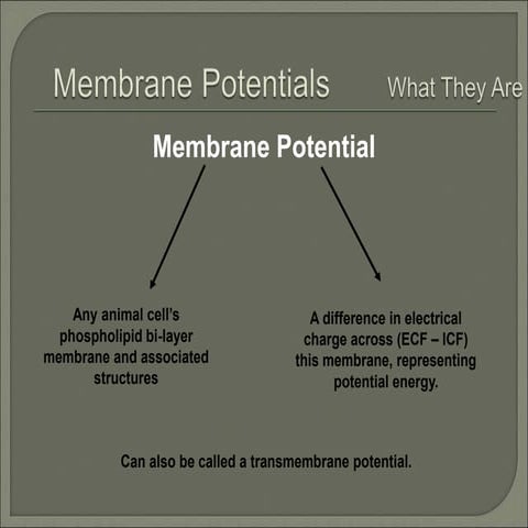 Membrane_Potentials_2021-46887.ppt