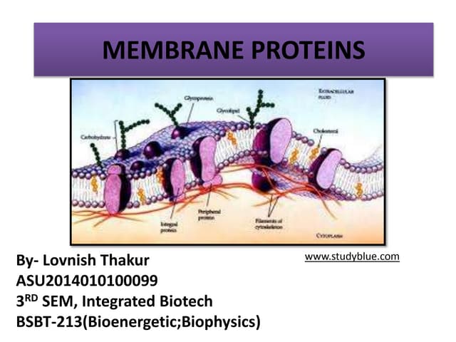 Cell junctions , cell adhesion and extra cellular matrix | PPTX