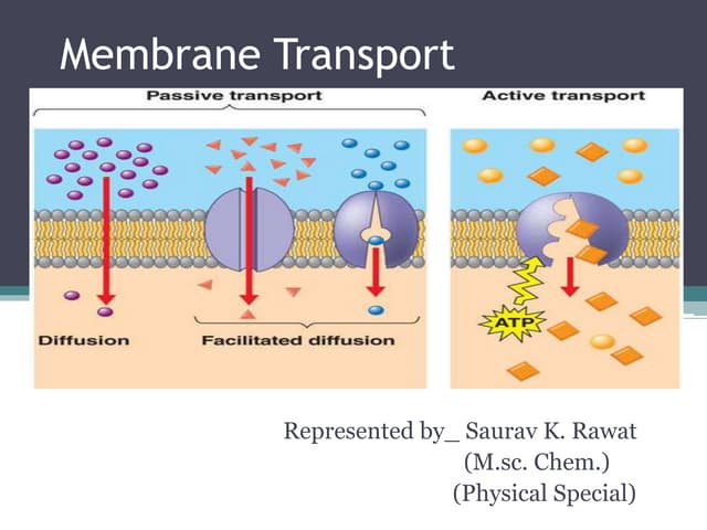 Ion Transport Through Cell Membrane.pptx