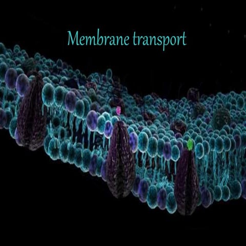 Membrane transport(Passive mediated) | PPTX