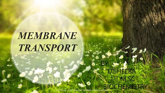 Membrane Transport System | PPT | Chemistry | Science