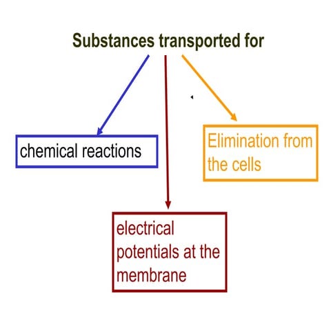 membrane_transport | PPT
