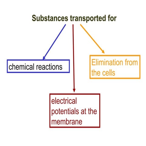 cell membrane transport and their types .ppt