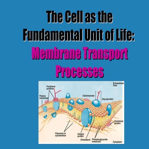 Membrane transport1 | PPT