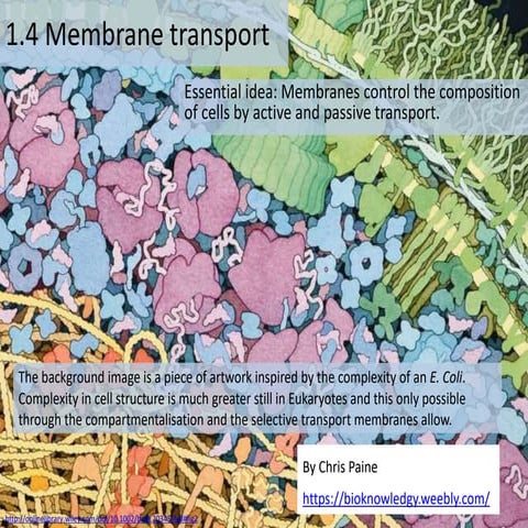 membrane transport ppt.pptx