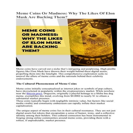 Meme Coins Or Madness.pdf