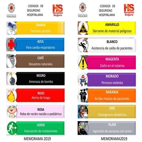 Memorarma-Códigos-de-Seguridad-Hospitalaria-SPC-VER.pptx