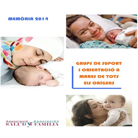 Memoria grups de suport a mares 2014 | PDF
