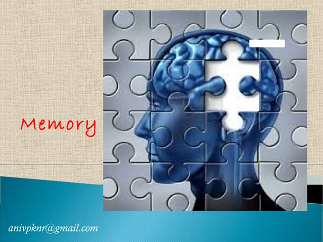 Memory - Definition-Types of Memory - factors influencing memory and ...