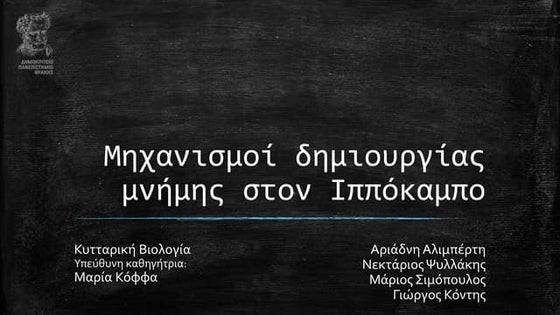 Neyriko a lykeioy | PPTX