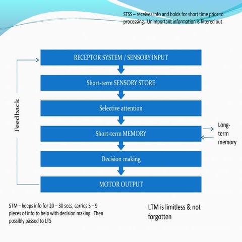 Memory process slide | PPT