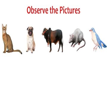 Memory test which helps in engaging students | PPTX