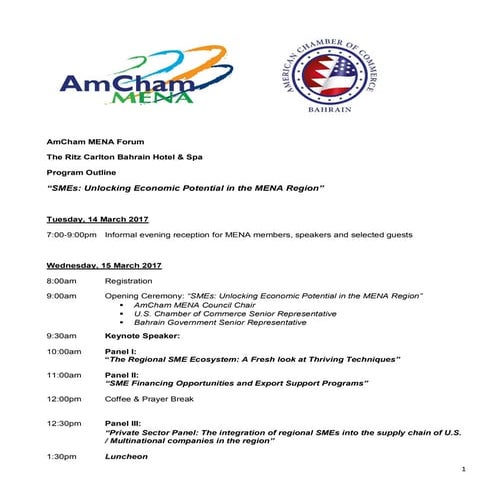 Mena forum outline for website | PDF