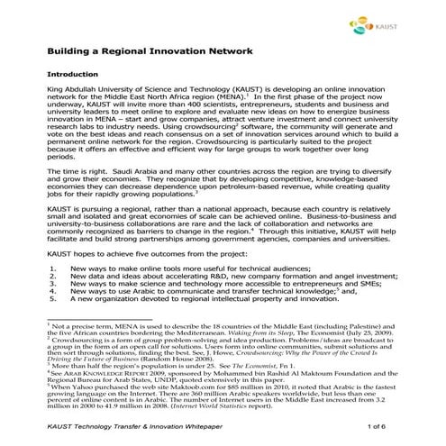 Mena Innovation Network Final | PDF