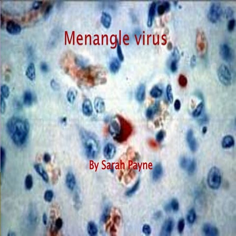 Menangle virus | PPTX
