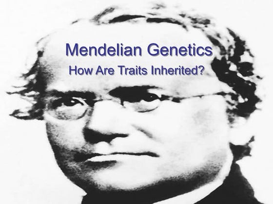 Introduction to Mendelian Genetics | PPTX | Genetics | Science