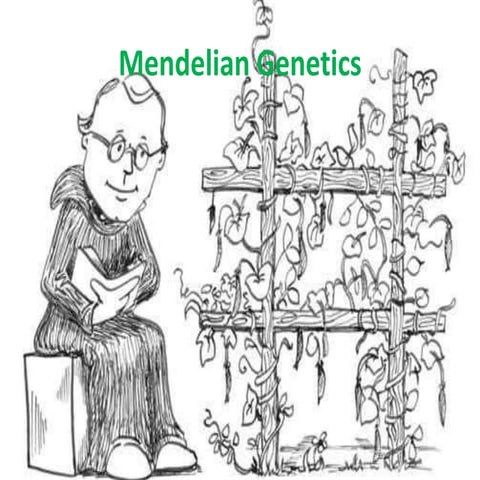 Mendelian genetics | PPTX