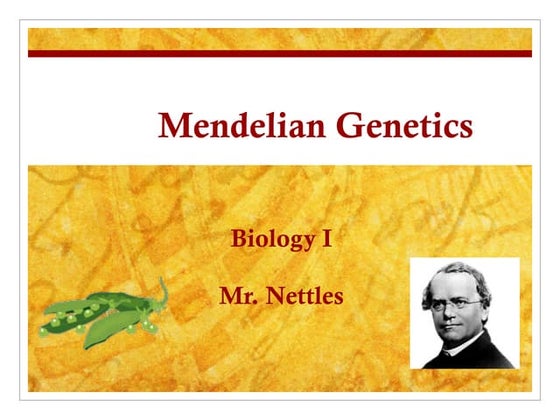 Mendelian genetics 101 | PPTX | Gardening | Home & Garden
