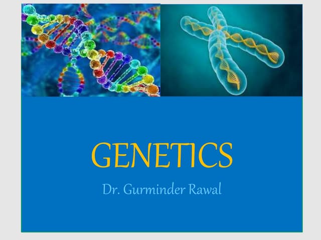 mendelian genetics (1).ppt