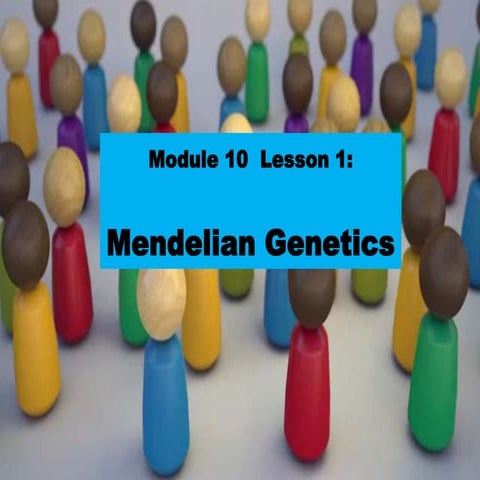 module 10 lesson 1: Mendelian Genetics.ppt