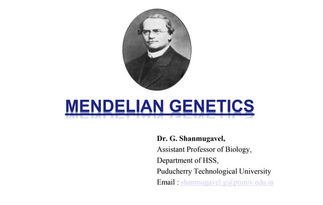 Mendel's Monohybrid cross | PPT