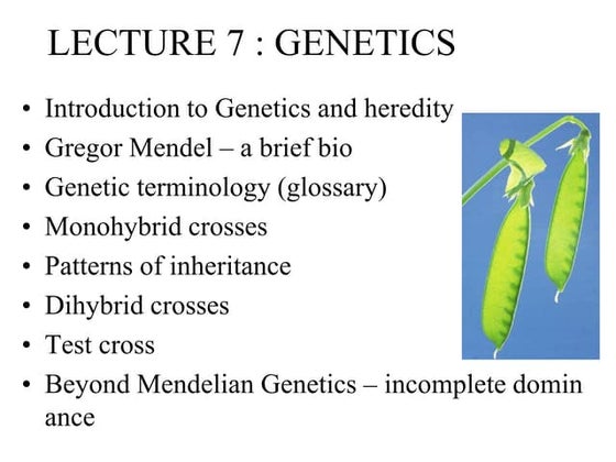 Science 8 4th Qtr Lesson 4 Mendelian Pattern of Inheritance.pptx