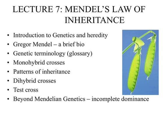 Science 8 4th Qtr Lesson 4 Mendelian Pattern of Inheritance.pptx
