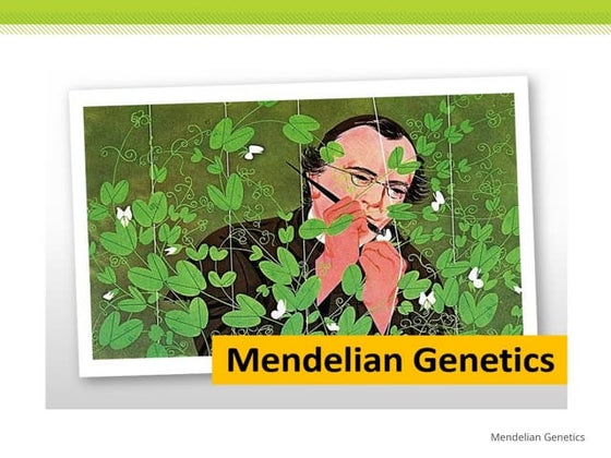 Introduction to Genetics.ppt